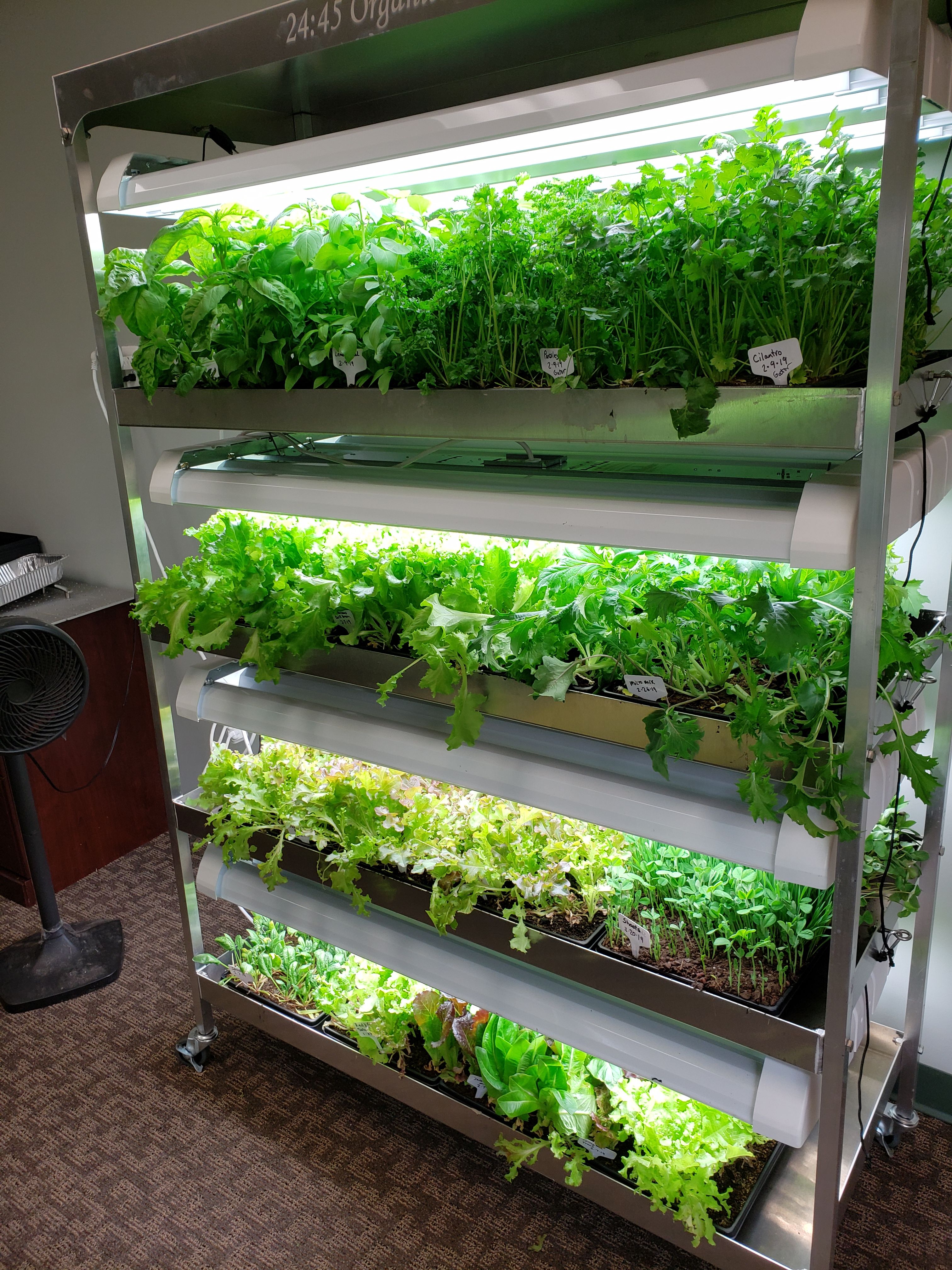 Shop – Super Grow System